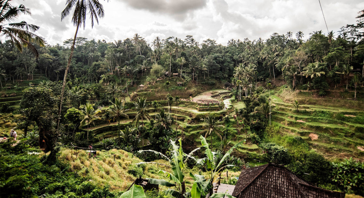 Que faire à Bali : 8 incontournables
